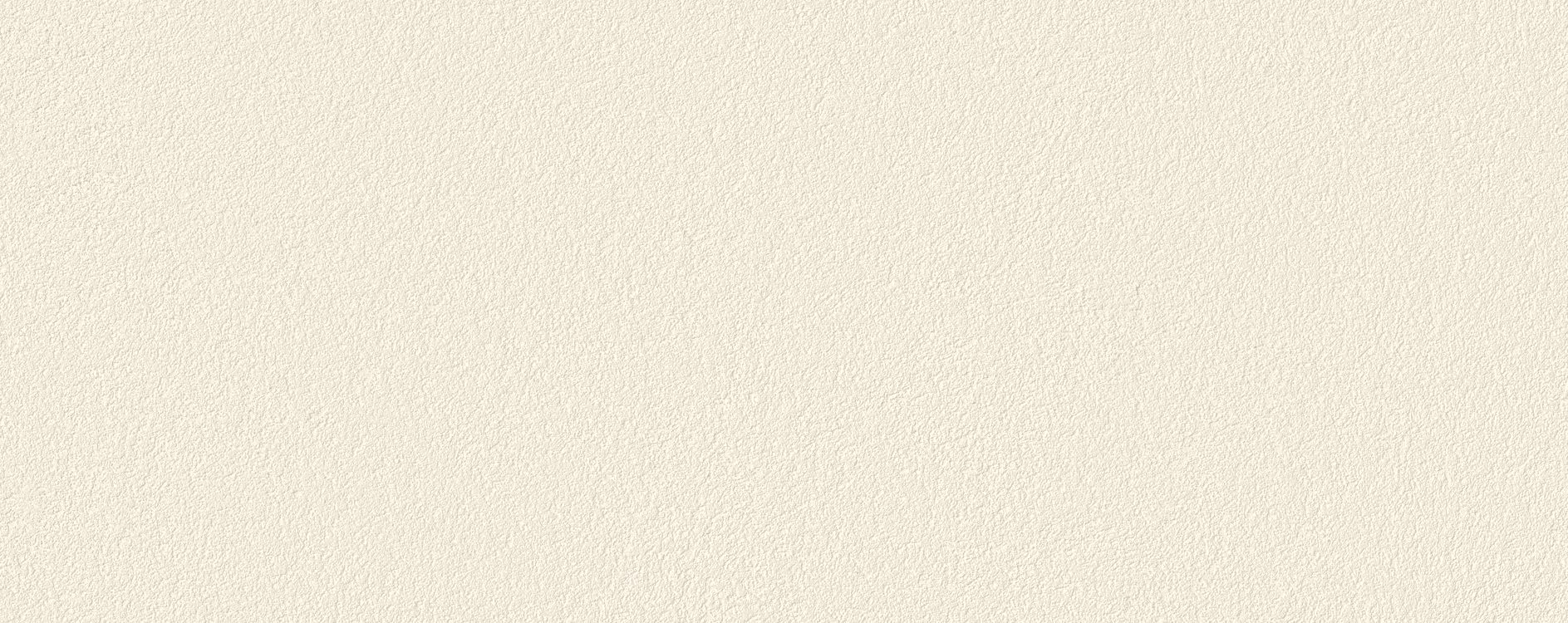 ThermoPutz Putzfassaden - DACH & WAND Dämmtechnik AG